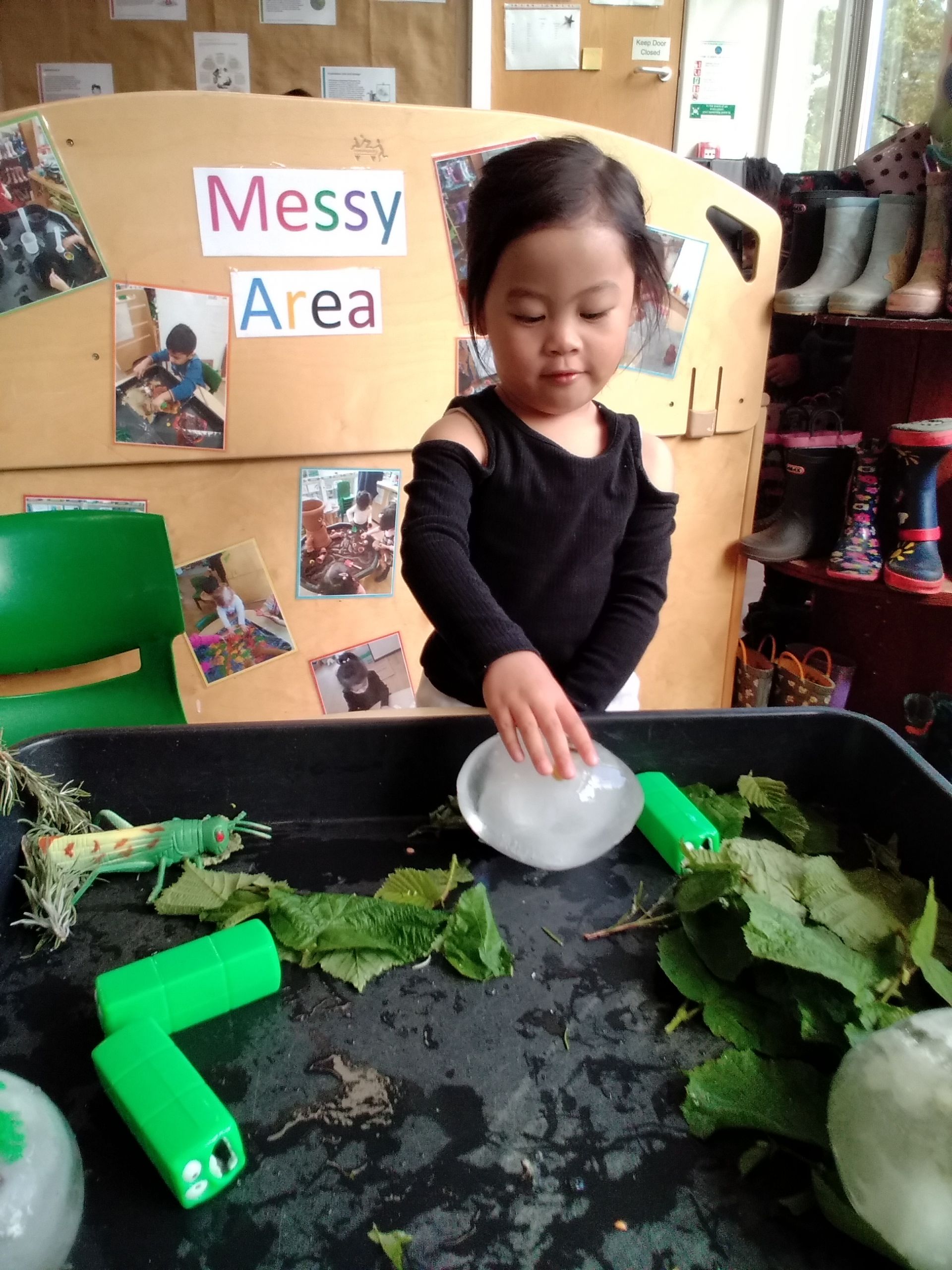 Life cycle of a caterpillar - Children's Place Day Nurseries