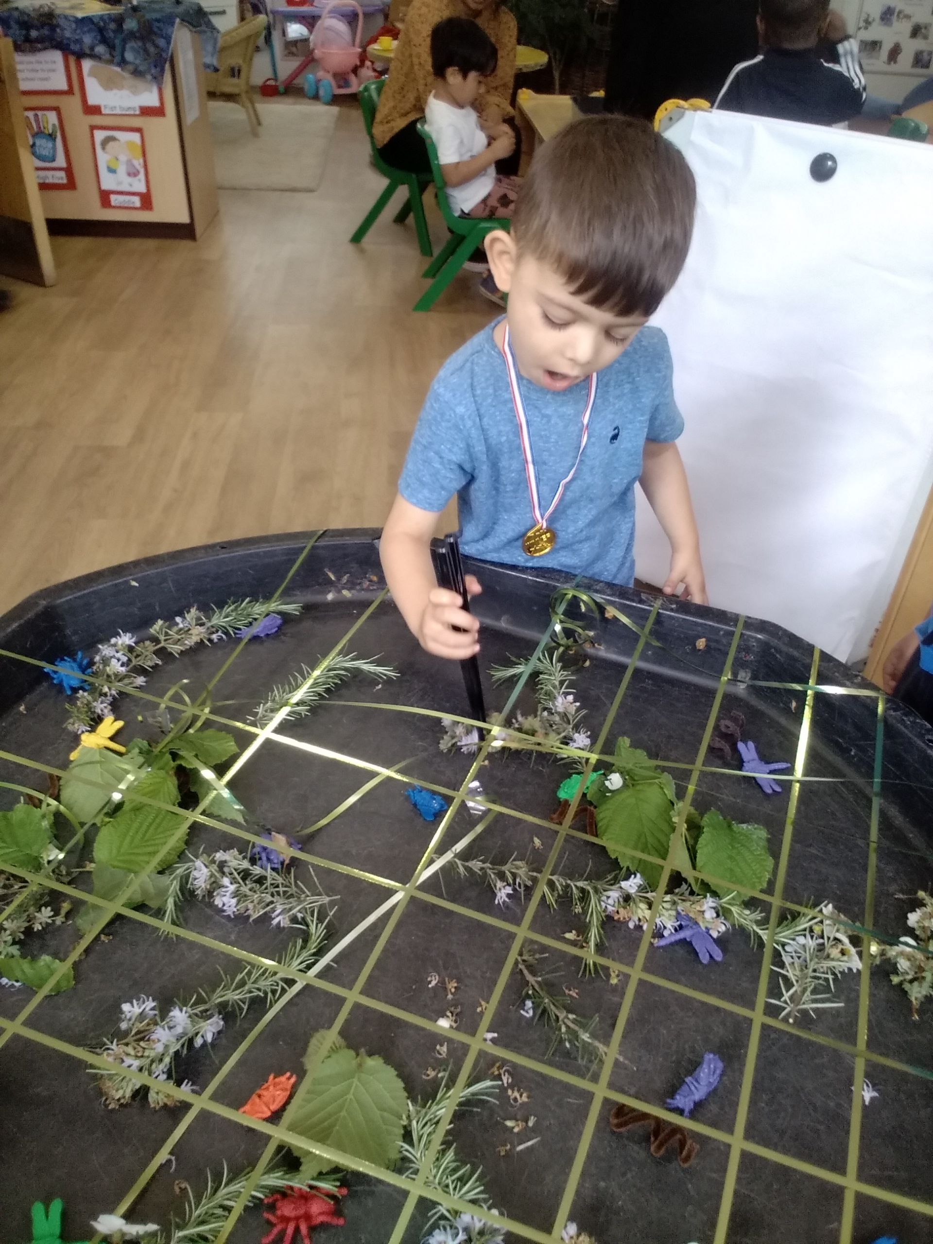 Life cycle of a caterpillar - Children's Place Day Nurseries