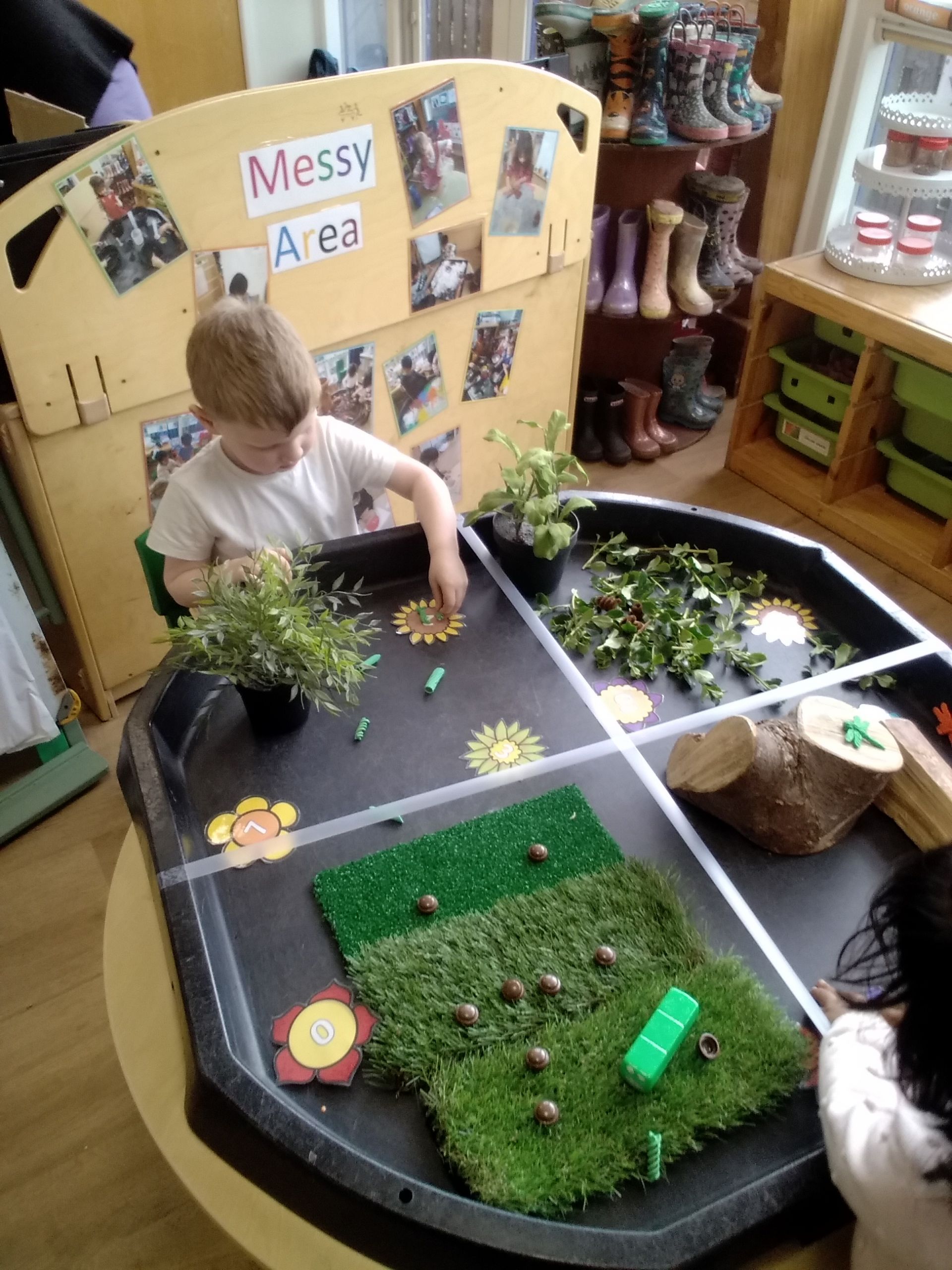 Life cycle of a caterpillar - Children's Place Day Nurseries
