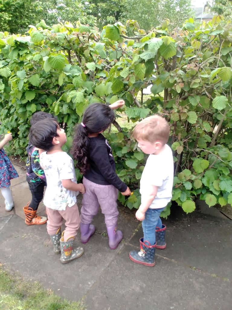 Life cycle of a caterpillar - Children's Place Day Nurseries